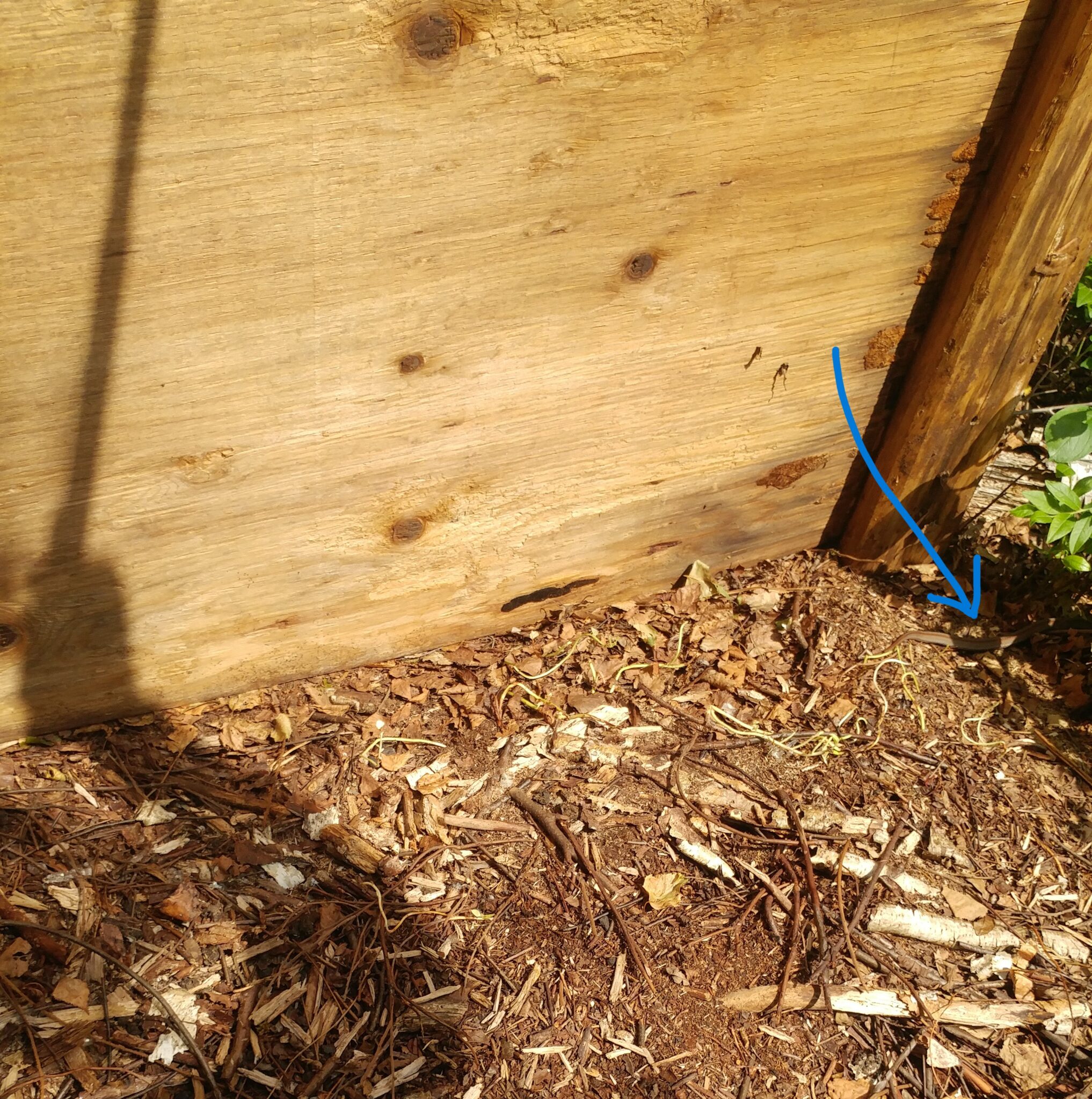 CS – Coverboard Project – 8Trees Inc.
